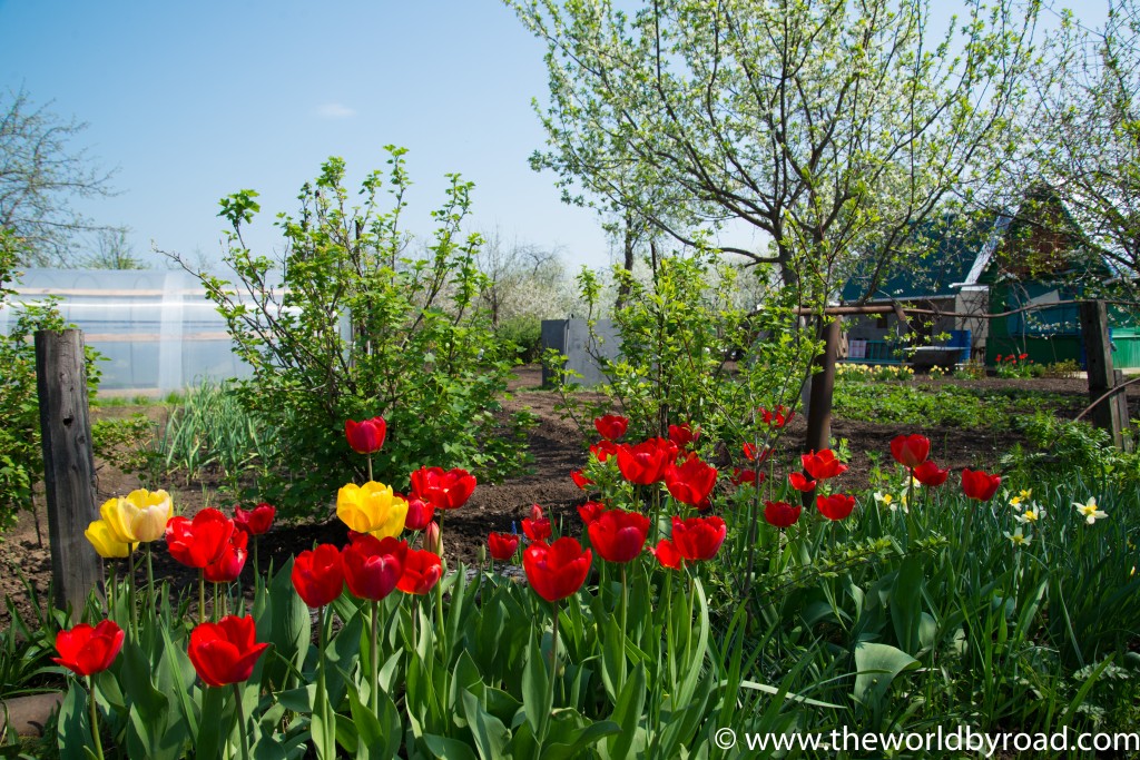 Farm to Table Russian Style: The Dacha - The World by Road Collective